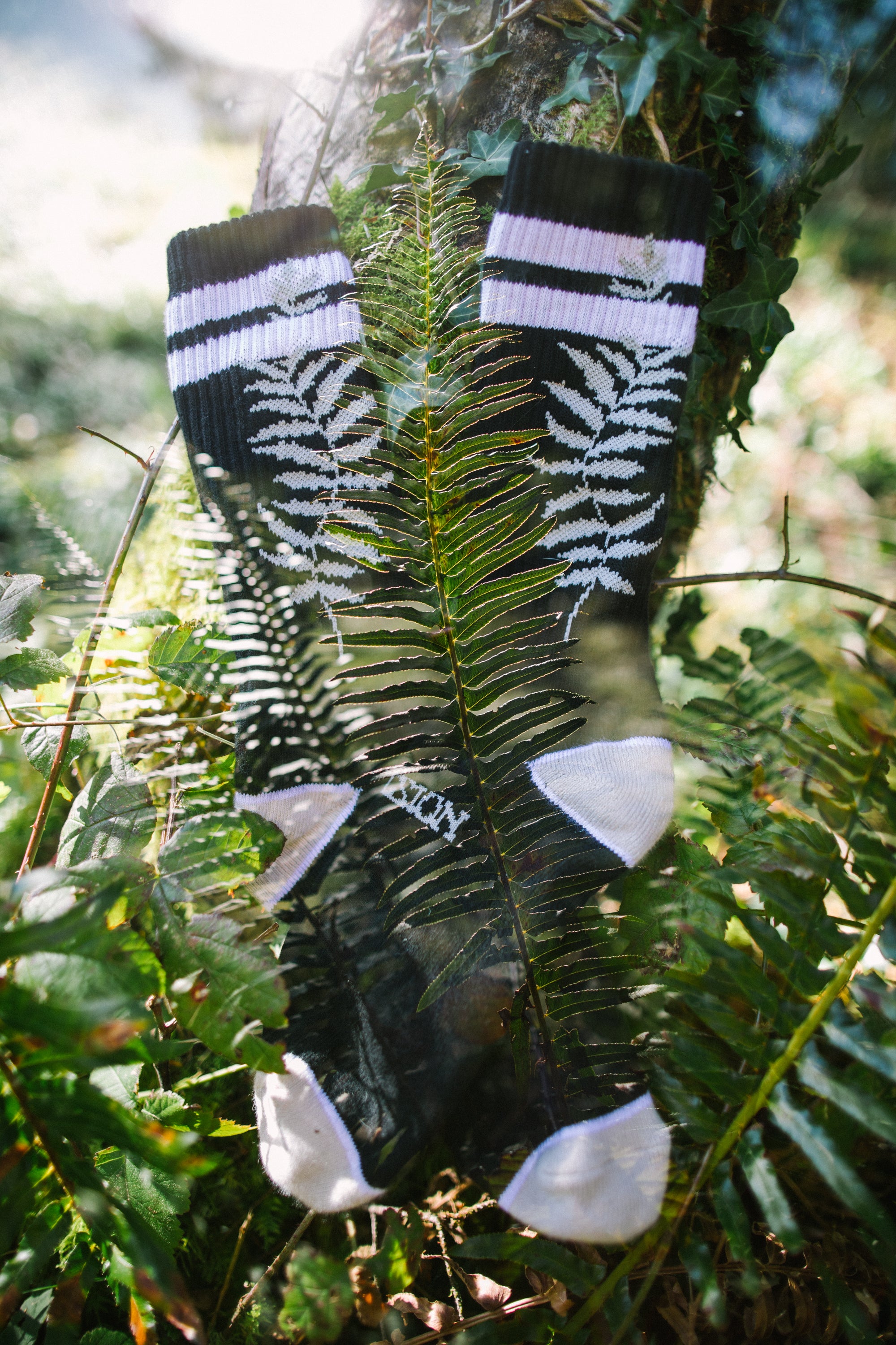 Fern Socks – Portal Dimension